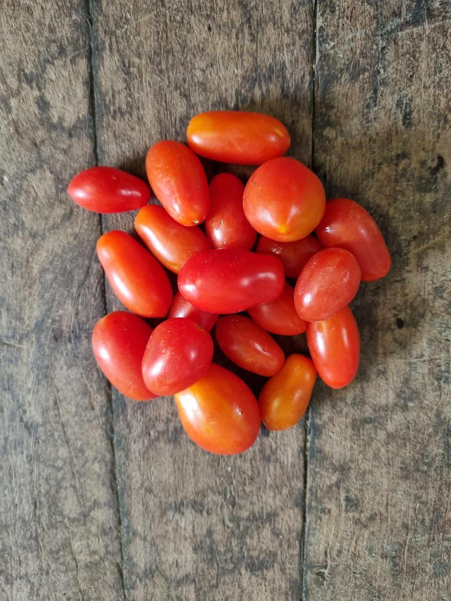 Tomatoes, cherry grape kg – Bob & Jim's – General Store